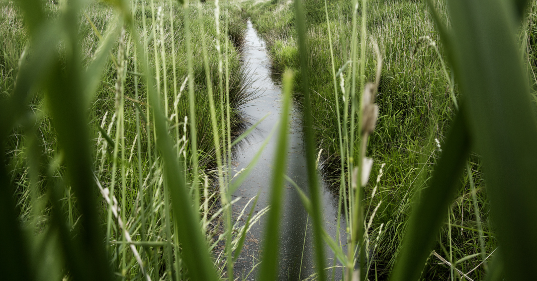 Ny handlepligt til kommunerne på BNBO